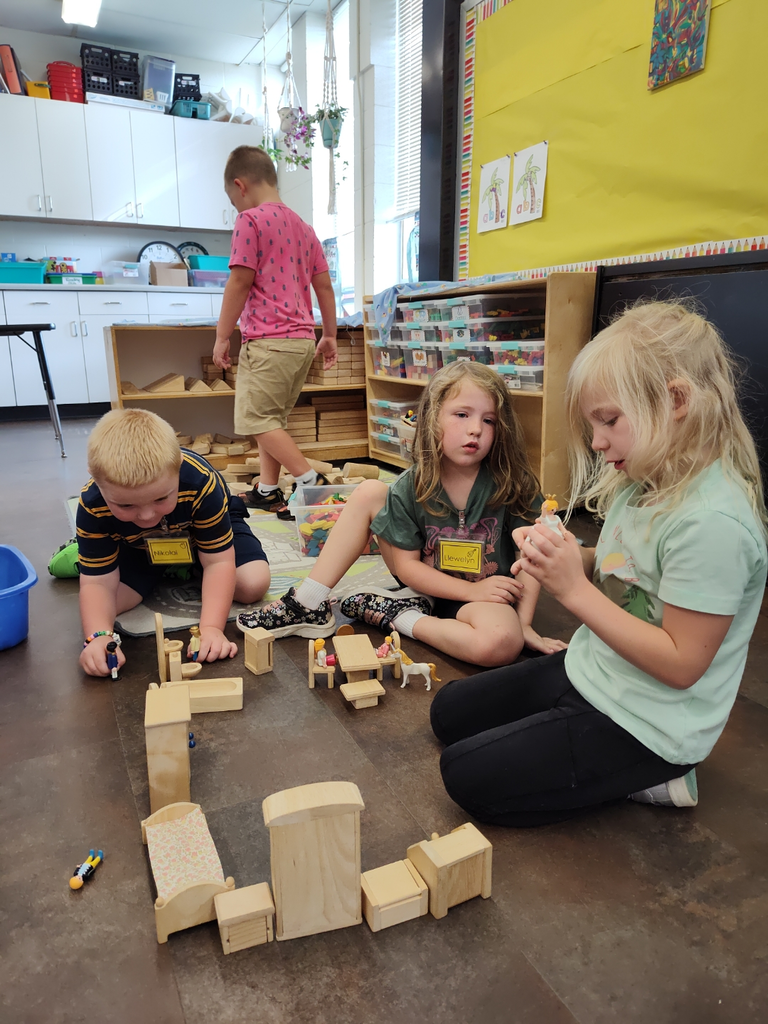 Live Feed | Mesick Consolidated Schools